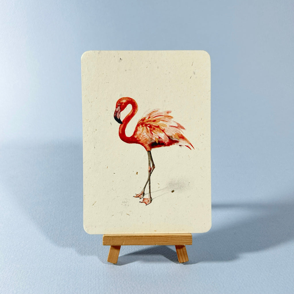 Postkarte >Flamingo
